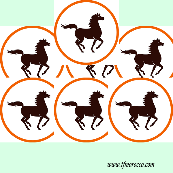 banque populaire marocaine 2025